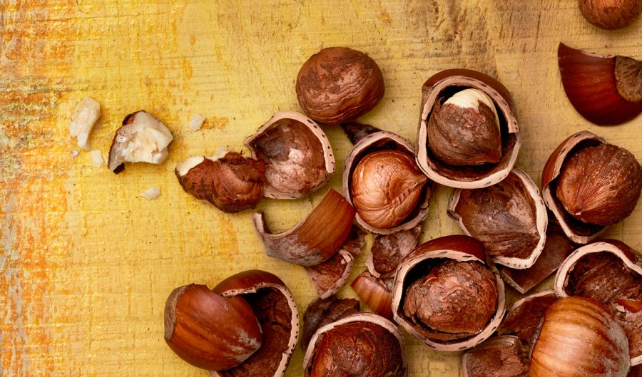 Trois espèces d'arbres à noix à mettre au jardin