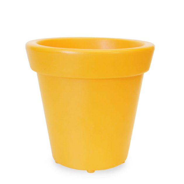 Jaune ensoleillé : la couleur de l'été par excellence