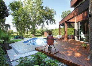 Tendances végétales 2019 à adopter dans la cour et au jardin