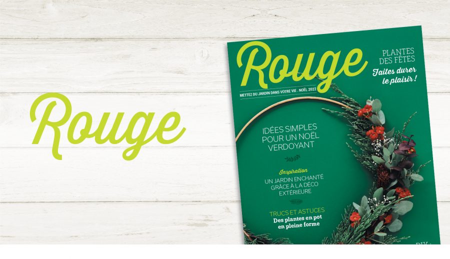 Magazine Rouge | Du jardin dans ma vie