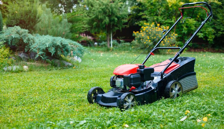 Tout savoir sur la fertilisation de la pelouse | Conseils de pro Vertdure