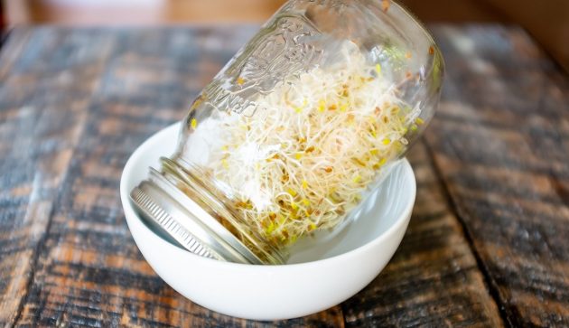 Nouvelles variétés de micropousses à cultiver à la maison