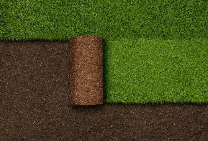 Pelouse écologique et durable : comment s’y prendre?