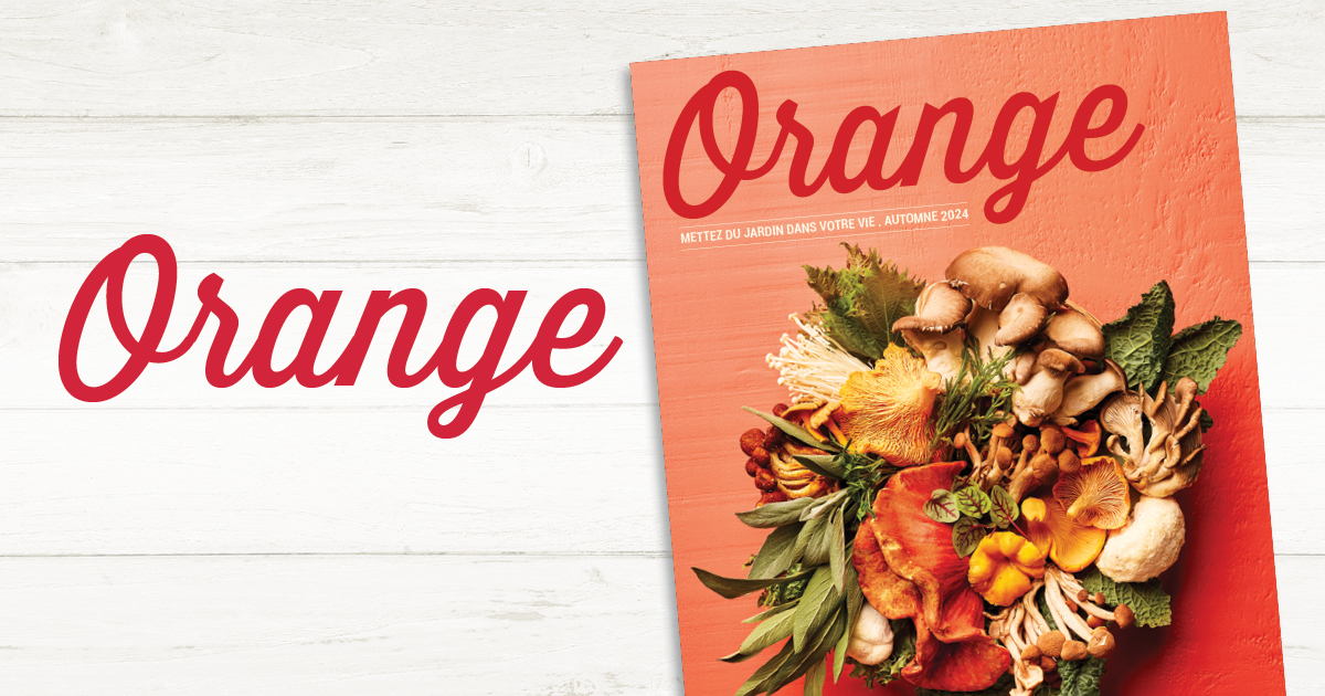 Magazine Orange | Du jardin dans ma vie