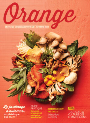 Magazines Vert, Jaune, Rouge et Orange, des idées pour chaque saison